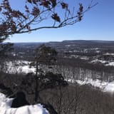 Giuffrida Park Loop, Connecticut - 1,627 Reviews, Map | AllTrails