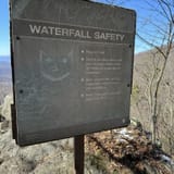 Lewis Spring Falls Trail, Virginia - 1,351 Reviews, Map | AllTrails
