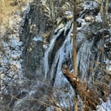 Lewis Spring Falls Trail, Virginia - 1,351 Reviews, Map | AllTrails