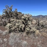 Boston Hill Trail, New Mexico - 212 Reviews, Map | AllTrails