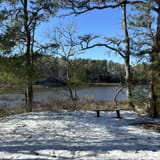 Mashpee River Woodlands North Trail, Massachusetts - 618 Reviews, Map ...