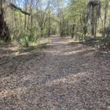 Bolen Bluff Trail, Florida - 869 Reviews, Map | AllTrails