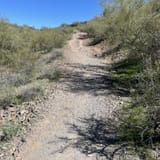 Dreamy Draw Loop Trail, Arizona - 1,119 Reviews, Map | AllTrails