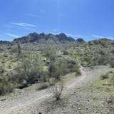 Dreamy Draw Loop Trail, Arizona - 1,166 Reviews, Map | AllTrails