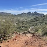 Dreamy Draw Loop Trail, Arizona - 1,119 Reviews, Map | AllTrails