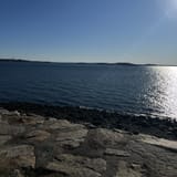 Deer Island Trail, Massachusetts - 648 Reviews, Map | AllTrails