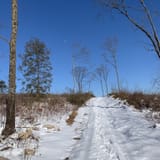 The Pinnacle, Pennsylvania - 558 Reviews, Map | AllTrails