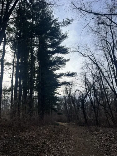 Best Hikes and Trails in Camp Tomo-Chi-Chi Knolls Forest Preserve ...