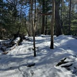 Mount Watatic and Nutting Hill via Wapack Trail, Massachusetts - 2,715 ...