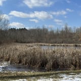 Plateau Trail, Ohio - 3,252 Reviews, Map | AllTrails