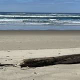 Bayocean Peninsula, Oregon - 710 Reviews, Map | AllTrails