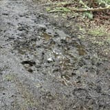 Turtle Trail, Oregon - 105 Reviews, Map | AllTrails