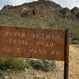 David Yetman Trail, Arizona - 329 Reviews, Map | AllTrails