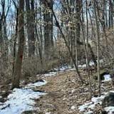 Monocacy Hill Trail, Pennsylvania - 1,794 Reviews, Map | AllTrails
