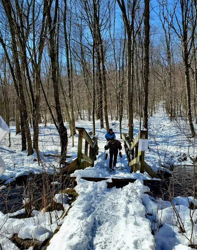 Best Hikes and Trails in Blackledge Falls Town Park | AllTrails