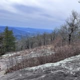 Appalachian Trail: Neel Gap to Hogpen Gap, Georgia - 744 Reviews, Map ...