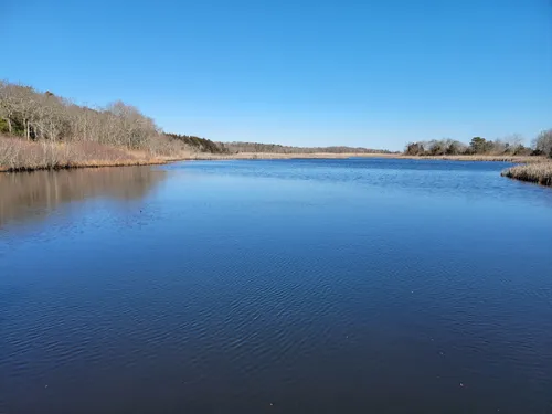 Best Lake Trails in Galloway Township | AllTrails