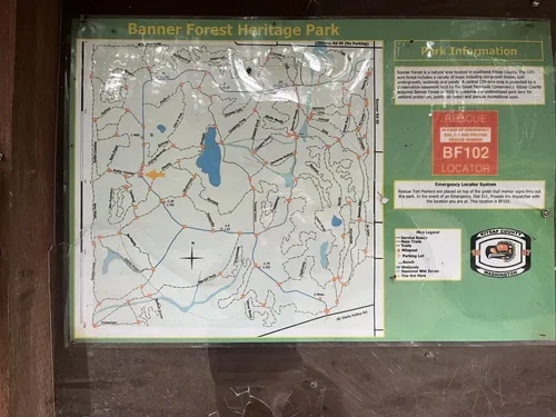 Best Hikes and Trails in Banner Forest Heritage Park | AllTrails