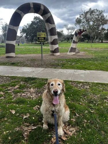 Best Hikes and Trails in Kit Carson Park | AllTrails