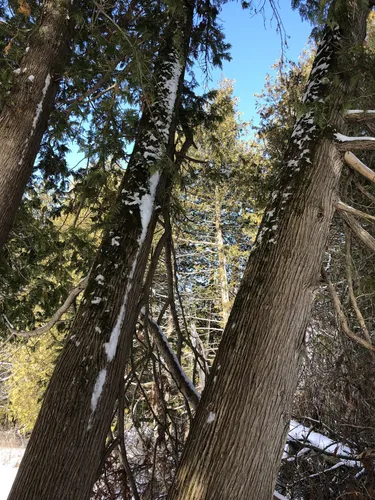 Best Hikes and Trails in Ken Reid Conservation Area | AllTrails