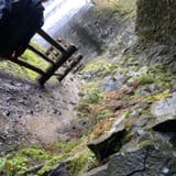 South Falls and Maple Ridge Loop, Oregon - 1,878 Reviews, Map | AllTrails