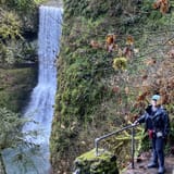 South Falls and Maple Ridge Loop, Oregon - 1,878 Reviews, Map | AllTrails