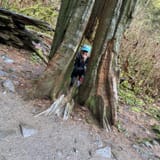 South Falls and Maple Ridge Loop, Oregon - 1,878 Reviews, Map | AllTrails