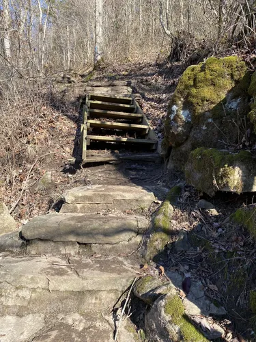 Best Long Trails in Big Flat | AllTrails