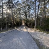 Spring Creek Greenway Trail, Texas - 1,066 Reviews, Map | AllTrails