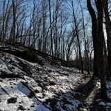 Rock Hollow Trail, Missouri - 1,334 Reviews, Map | AllTrails