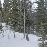 Ben Tyler Trail, Colorado - 595 Reviews, Map | AllTrails