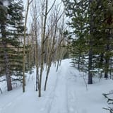 Ben Tyler Trail, Colorado - 595 Reviews, Map | AllTrails