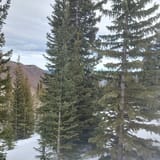 Ben Tyler Trail, Colorado - 595 Reviews, Map | AllTrails