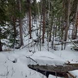 Ben Tyler Trail, Colorado - 595 Reviews, Map | AllTrails