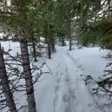 Ben Tyler Trail, Colorado - 595 Reviews, Map | AllTrails