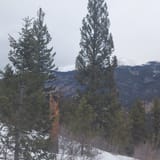 Ben Tyler Trail, Colorado - 595 Reviews, Map | AllTrails