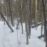 Ben Tyler Trail, Colorado - 595 Reviews, Map | AllTrails