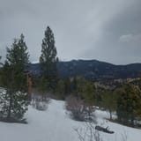 Ben Tyler Trail, Colorado - 595 Reviews, Map | AllTrails