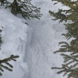Ben Tyler Trail, Colorado - 595 Reviews, Map | AllTrails