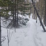 Ben Tyler Trail, Colorado - 705 Reviews, Map | AllTrails