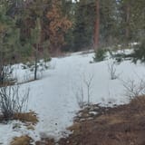 Ben Tyler Trail, Colorado - 705 Reviews, Map | AllTrails