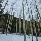 Ben Tyler Trail, Colorado - 705 Reviews, Map | AllTrails