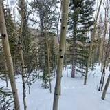 Ben Tyler Trail, Colorado - 705 Reviews, Map | AllTrails