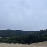 Idler's Rest Nature Preserve, Idaho - 262 Reviews, Map | AllTrails