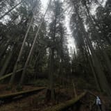 Idler's Rest Nature Preserve, Idaho - 262 Reviews, Map | AllTrails