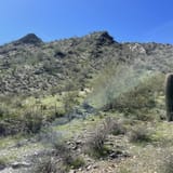 Dreamy Draw Loop Trail, Arizona - 1,119 Reviews, Map | AllTrails