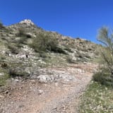 Dreamy Draw Loop Trail, Arizona - 1,184 Reviews, Map | AllTrails