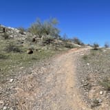 Dreamy Draw Loop Trail, Arizona - 1,119 Reviews, Map | AllTrails