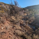 Salado Canyon Trail, New Mexico - 125 Reviews, Map | AllTrails