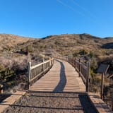 Salado Canyon Trail, New Mexico - 125 Reviews, Map | AllTrails